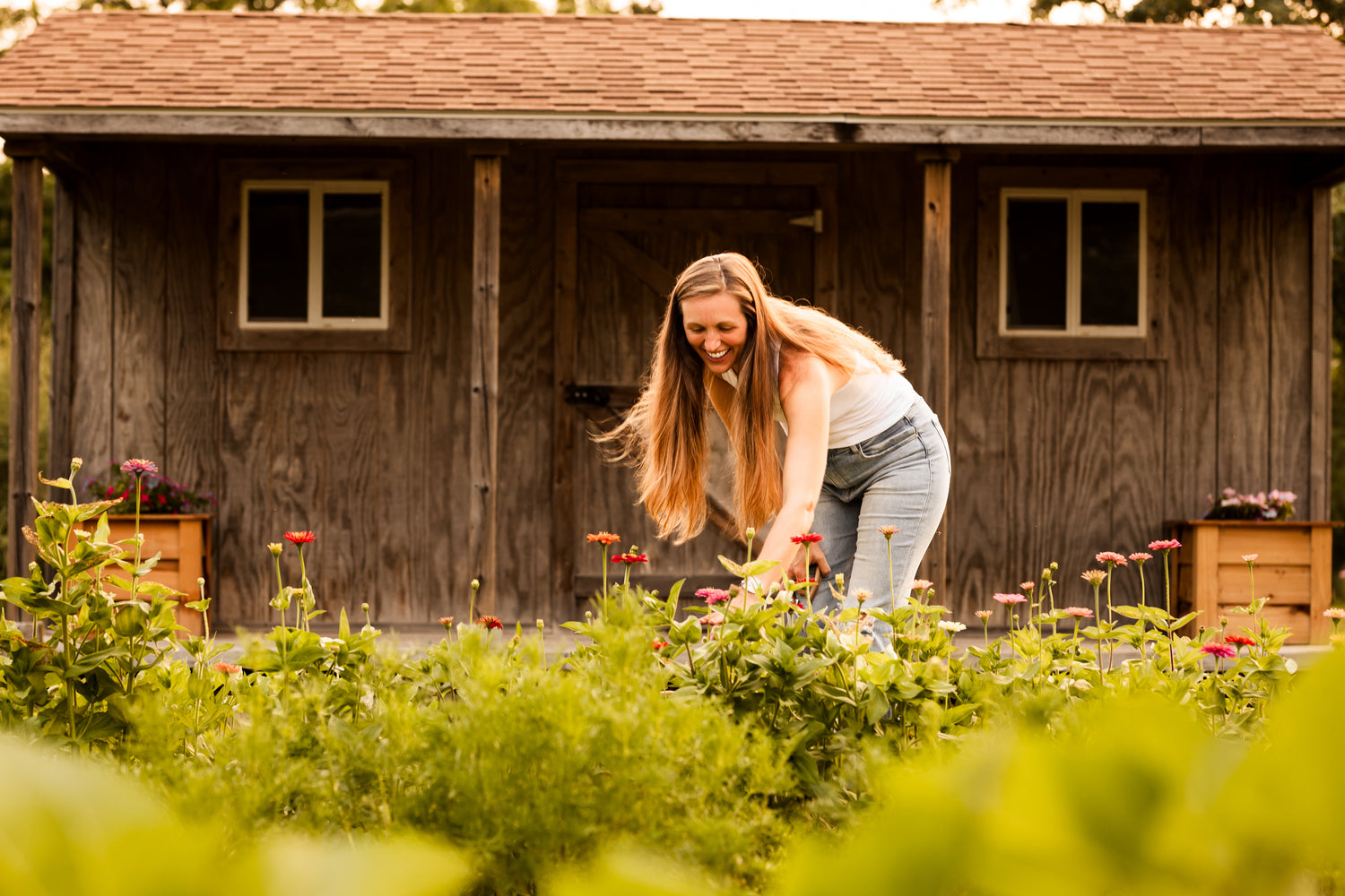 Bushels & Blooms Farm – Bushels and Blooms Farm